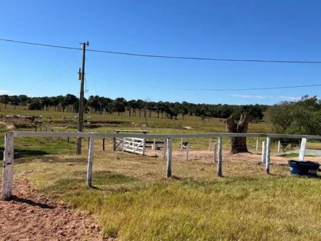 Fazenda para Venda na Região Próxima à Avenida Professor Pedro Gomes, Q Goiás