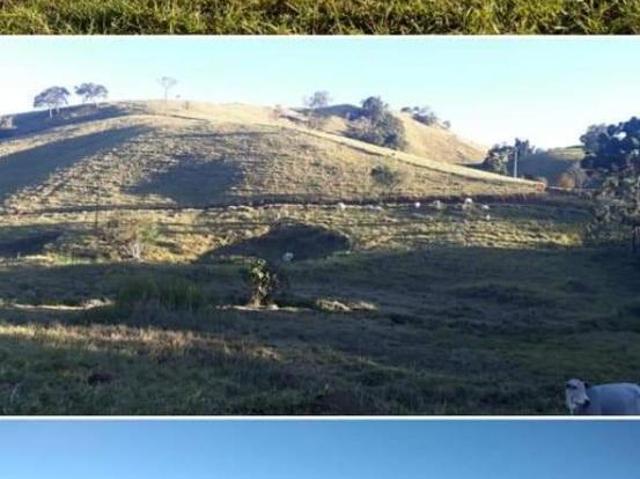 Fazenda para Venda, Sul de Minas 150 km de SP