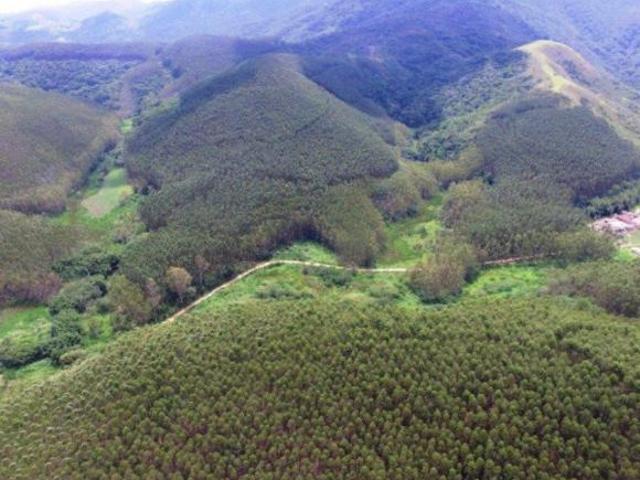 Fazenda para Venda por R$3.000.000,00 Pinheirinho, Tremembé / SP Cód. BDI24610