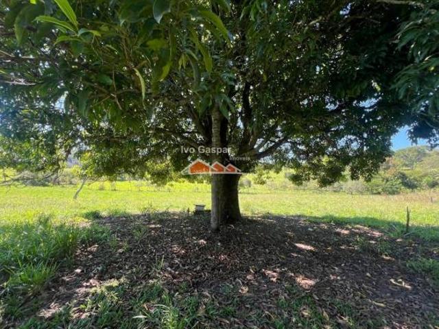 Fazenda, Parque Lagoa das Flores, Esmeraldas, MG