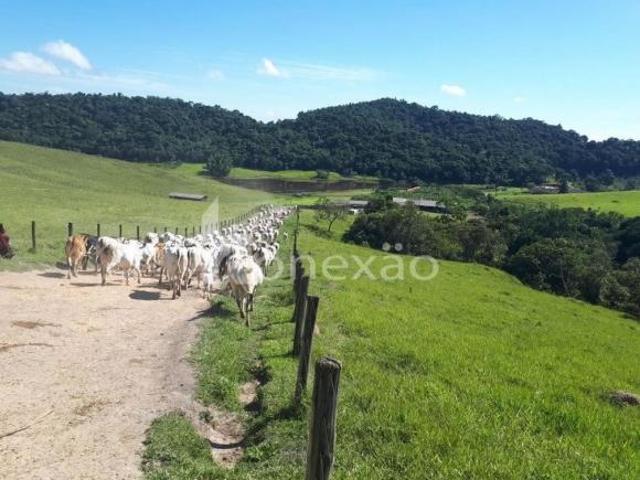 Fazenda pecuária de corte ou leite à venda, Salesópolis