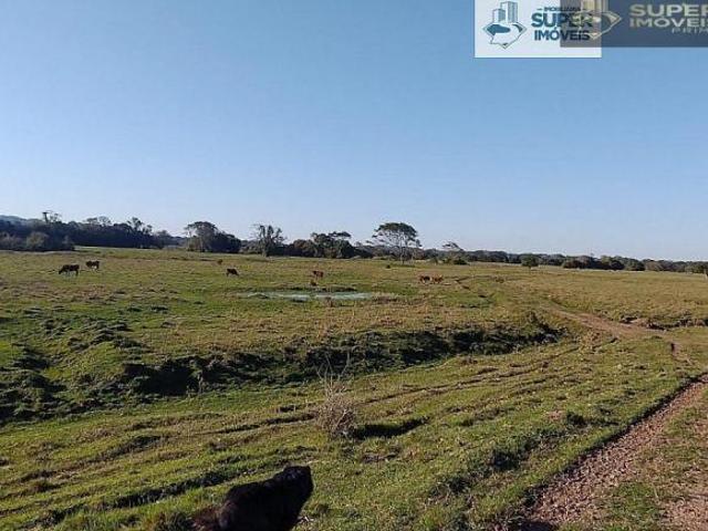 Fazenda Pecuária de excelência para Venda em Cristal RS