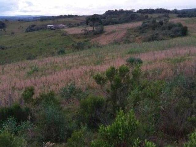 Fazenda Pecuária para Venda em Picada Jaquirana RS