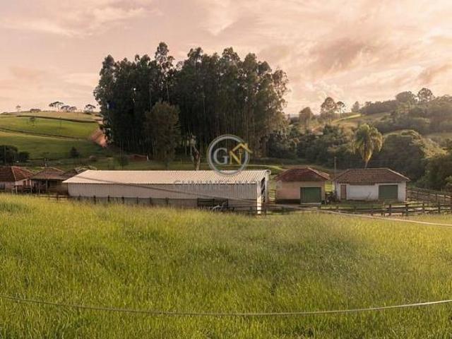 Fazenda Pecuária 242 ha em Santa Rita de Caldas | Sul de MG