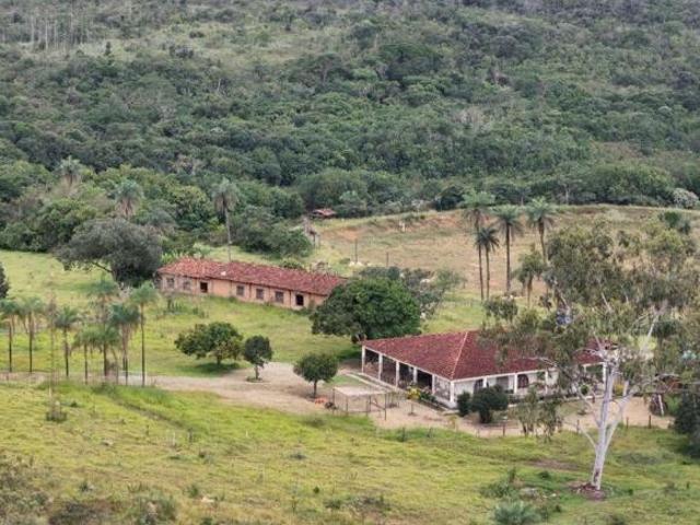 Fazenda pesque pague 137 hectares