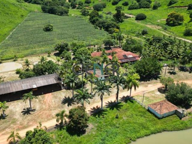 Fazenda perfeita de 2 013 ha grande capacidade para pecuária em GV
