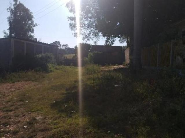 Fazenda, Pinheirinho, Alfenas, MG