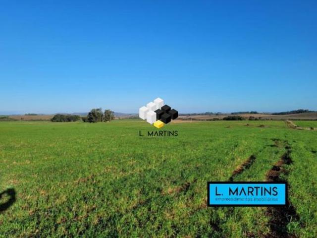 Fazenda plantio e pecuária a Venda em Alegrete RS