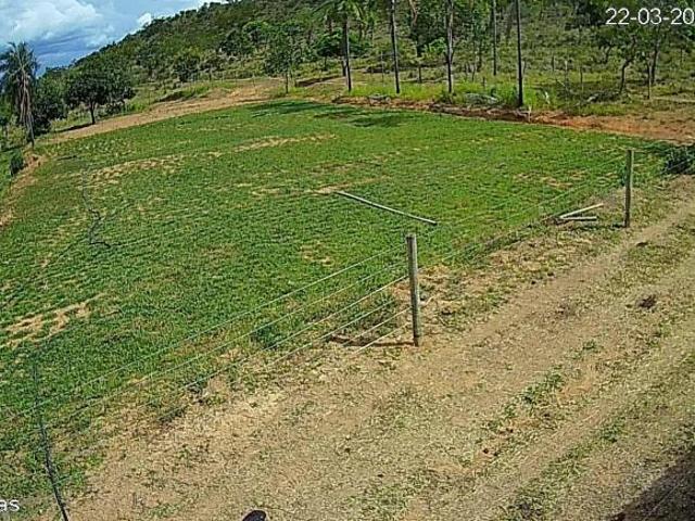 FAZENDA PLANALTINA DE GOIÁS, 87 HECTARES, DUPLA APTIDÃO, BOA DE ÁGUA