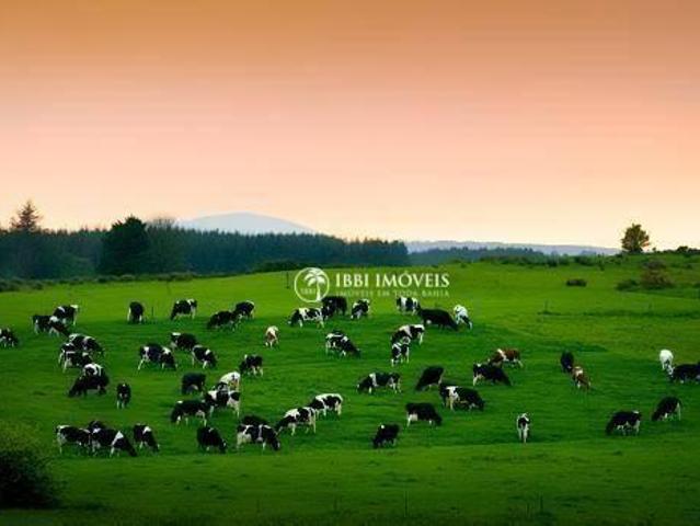 fazenda, porteira fechada 18.388 alqueirões pasto