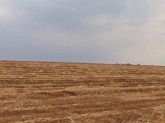 FAZENDA PORTO FELIZ