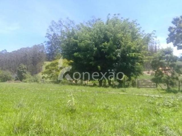Fazenda pra gado de corte