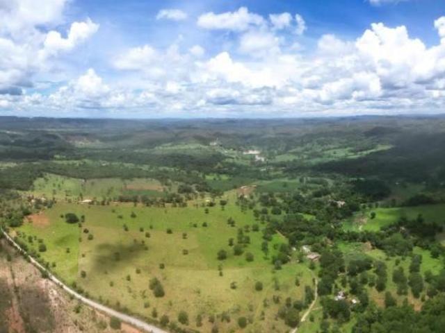 Fazenda pra pecuária próximo à Brasília DF
