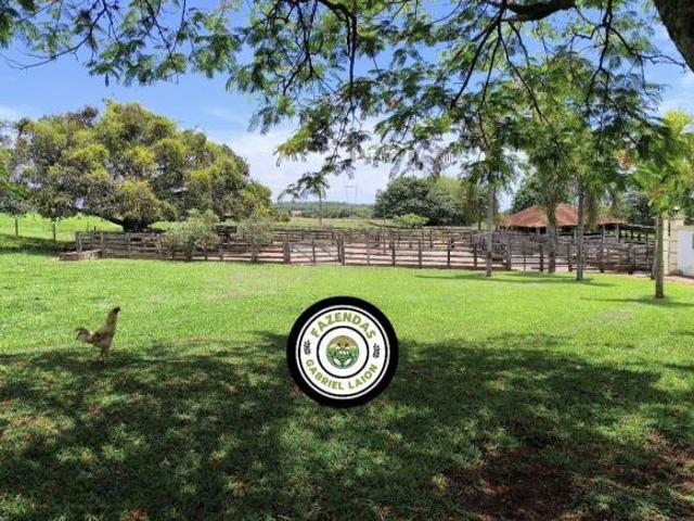 FAZENDA PREMIUM – 2.600 HECTARES – SACRAMENTO/MG