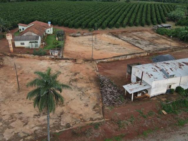 FAZENDA PRODUTORA DE CAFÉ NA REGIÃO DE MACAÚBAS DE CIMA