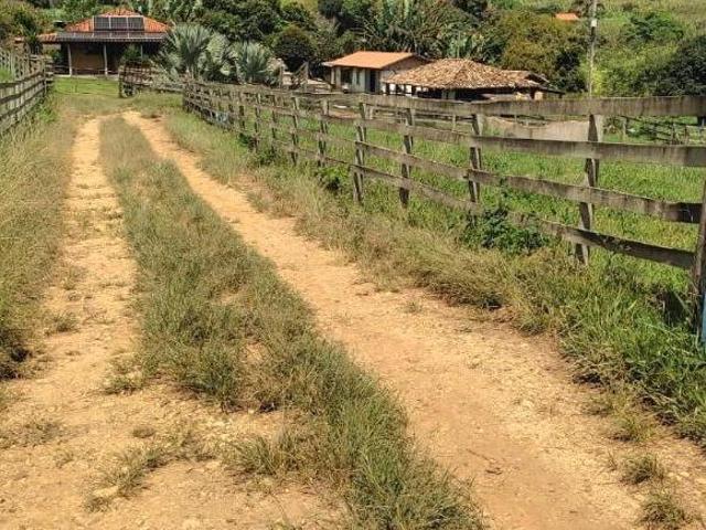 FAZENDA PRODUTIVA 12 HA DE PORTEIRA FECHADA À 12 KM DE PIEDADE/MG
