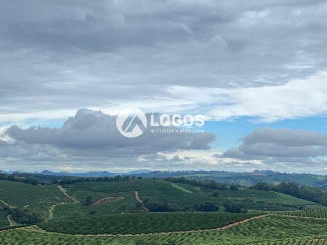 Fazenda produtiva à venda em Guaxupé/MG