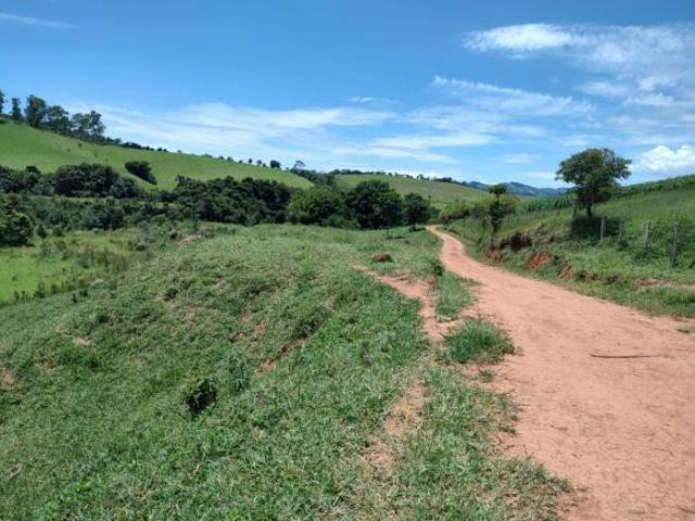 Fazenda Produtiva de Alto Potencial a 3 km de Borda da Mata