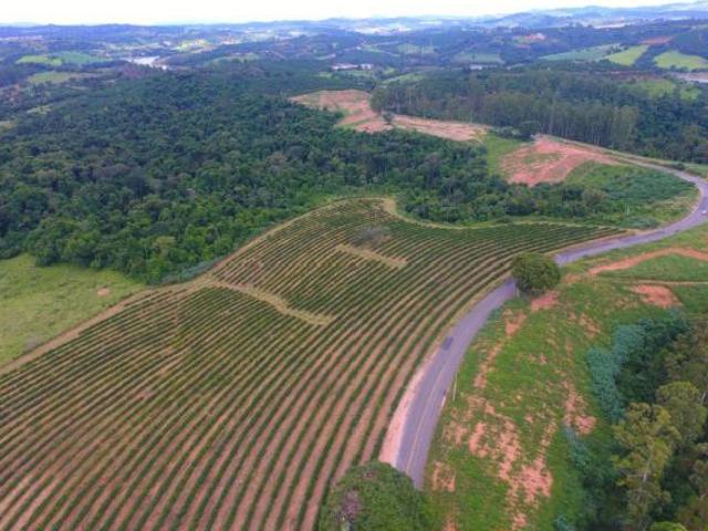FAZENDA PRODUTIVA DE CAFÉ À VENDA – OPORTUNIDADE PARA INVESTIDORES E CAFEICULTORES | SUL DE MINAS