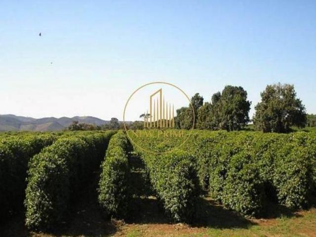 FAZENDA PRODUTIVA DE CAFÉ – 970 HECTARES | ALTO PADRÃO ESTRUTURAL | PORTEIRA FECHADA