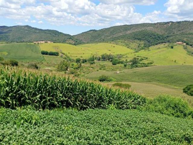Fazenda Produtiva em Três Corações / Conceição do Rio Verde MG