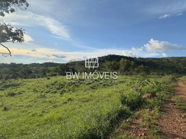 Fazenda Produtiva em Jaraguá GO – 24,5 Alqueires com Água, Curral e Energia