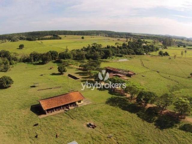 Fazenda Produtiva na cidade de Quadra, em São Paulo