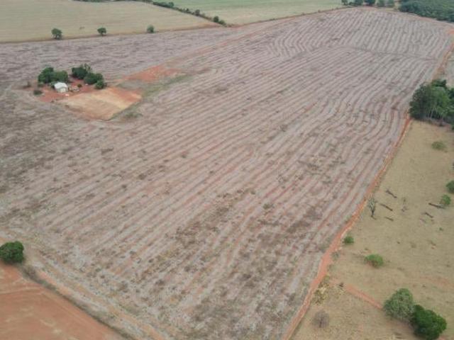 FAZENDA PRÓPRIA PARA CAFÉ EM COROMANDEL