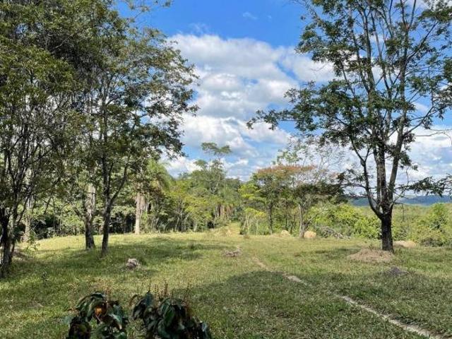 Fazenda próximo a BH em Esmeraldas para gado !