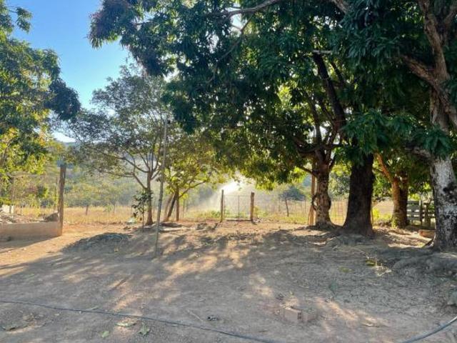 FAZENDA PRÓXIMO BURITIS MG 108 HECTARES