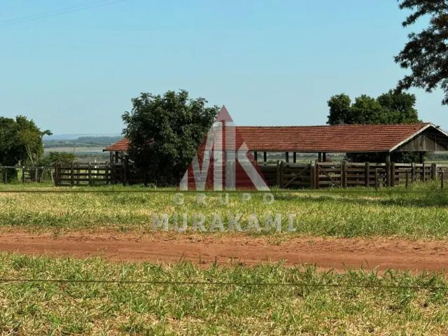 Fazenda querência do norte