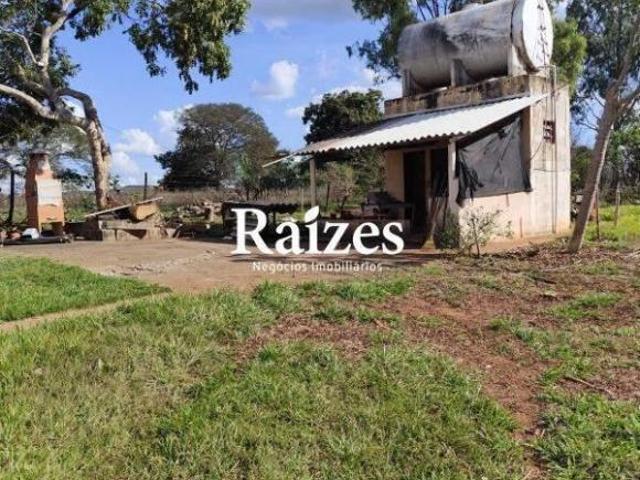 Fazenda Rural à venda em Gurinhatã, MG Centro | Ampla área e ótima oportunidade