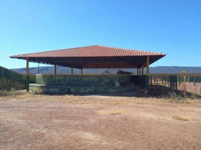 Fazenda Rural à venda, em Niquelandia Centro, Niquelândia FA0020