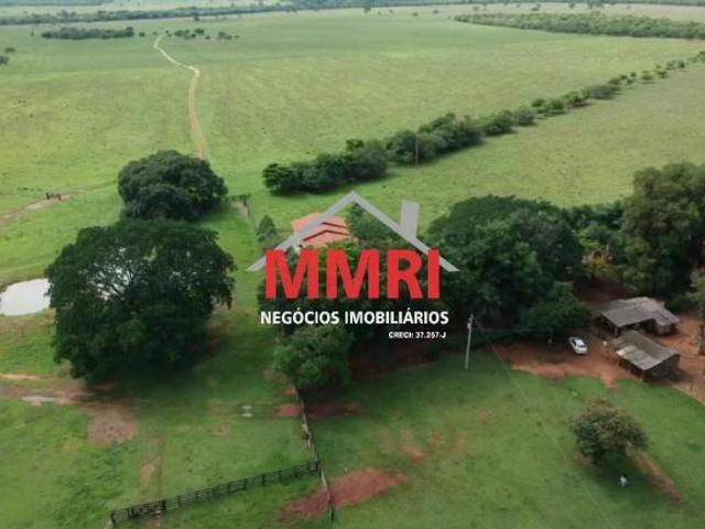 Fazenda, Rural, Água Boa, MT