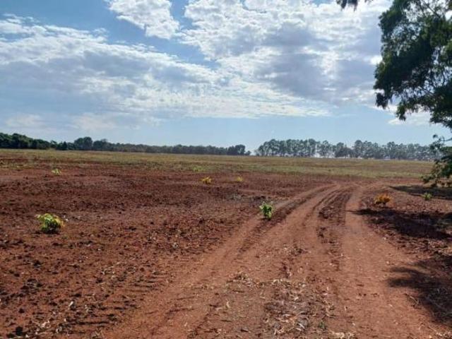 Fazenda, Rural, Araporã, MG