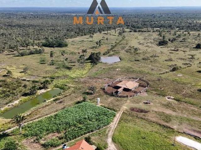 Fazenda, Rural, Buritizeiro, MG