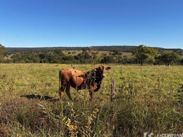Fazenda, Rural, Campina Verde, MG