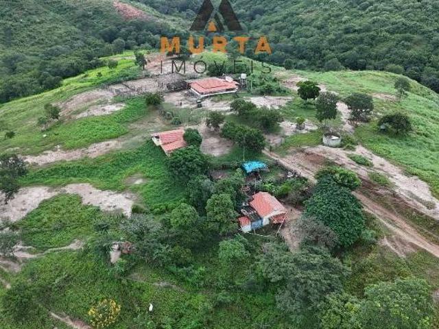 Fazenda, Rural, Coronel Murta, MG