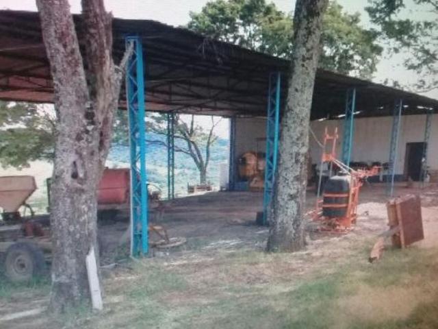 Fazenda, Rural, Echaporã R$ 29.2 mi, Cod: 3986