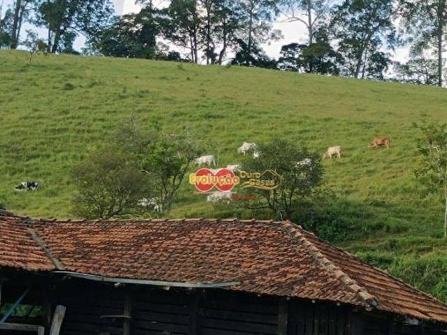 Fazenda Rural / Piracaia