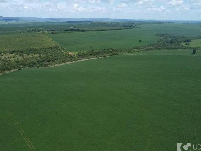 Fazenda, Rural, Serra do Salitre, MG