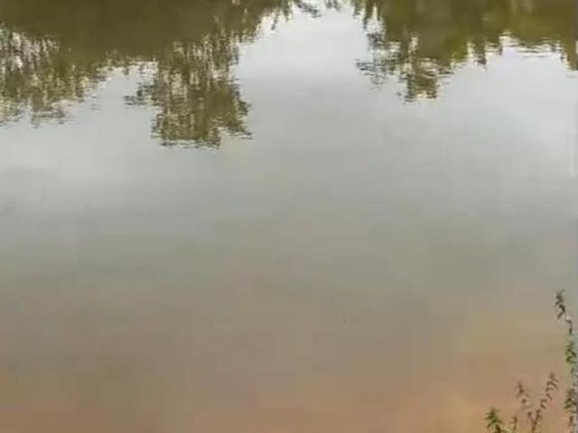 Fazenda, Rural, Tapuirama, MG