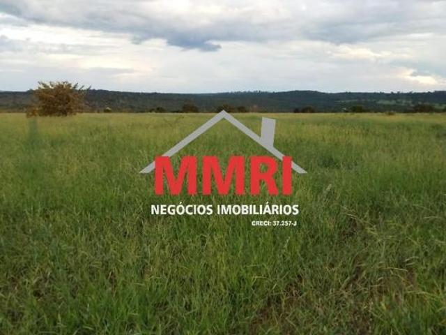 Fazenda, Rural, Torixoréu, MT