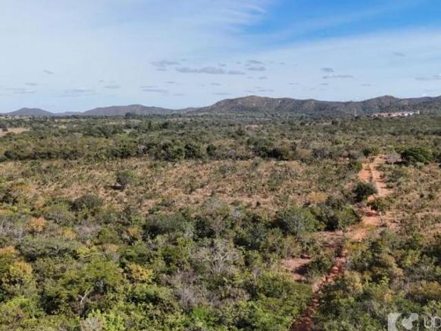 Fazenda, Rural, Uberlândia, MG