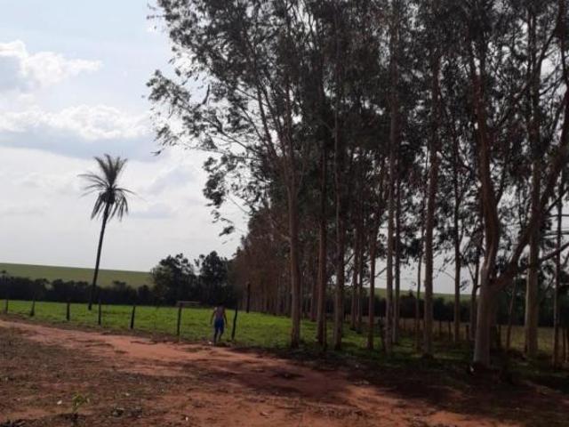 Fazenda, Rural, Uberlândia, MG