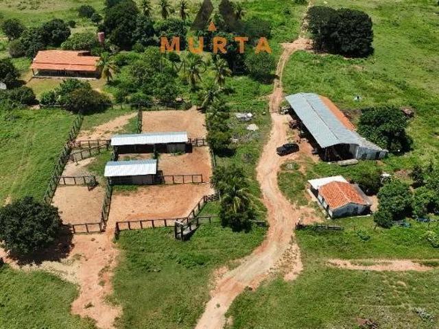 Fazenda, Rural, Verdelândia, MG