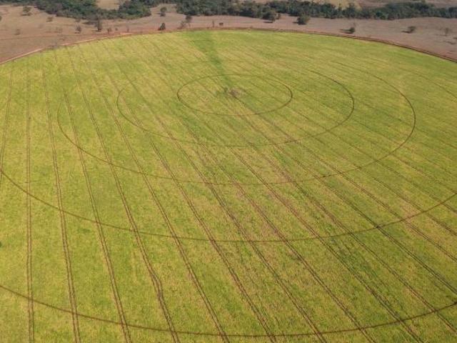 Fazenda Recanto da Sucupira Gleba 06 em Paracatu MG 125 Hectares R$ 12.000.000,00