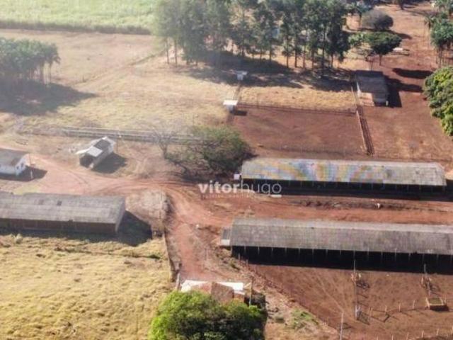 Fazenda Região de Uberlândia, dupla aptidão, há 10 km da cidade