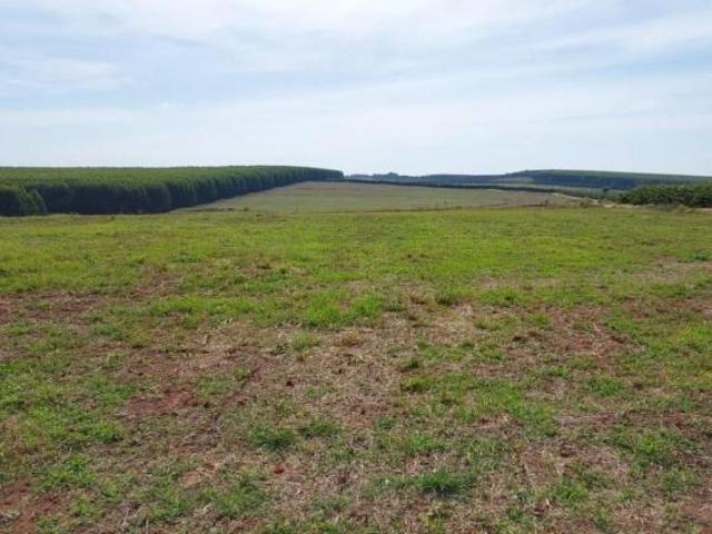 FAZENDA REGIÃO DE BAURU