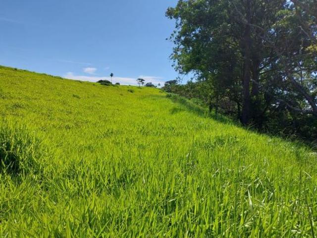 FAZENDA REGIÃO DE CORUMBATAI/RIO CLARO